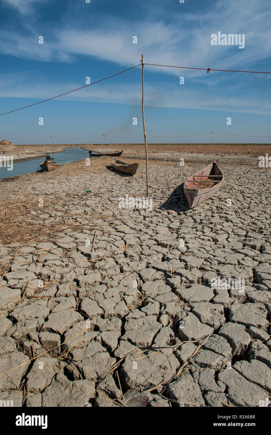 Drought in the Marshes of Southern Iraq Stock Photo - Alamy