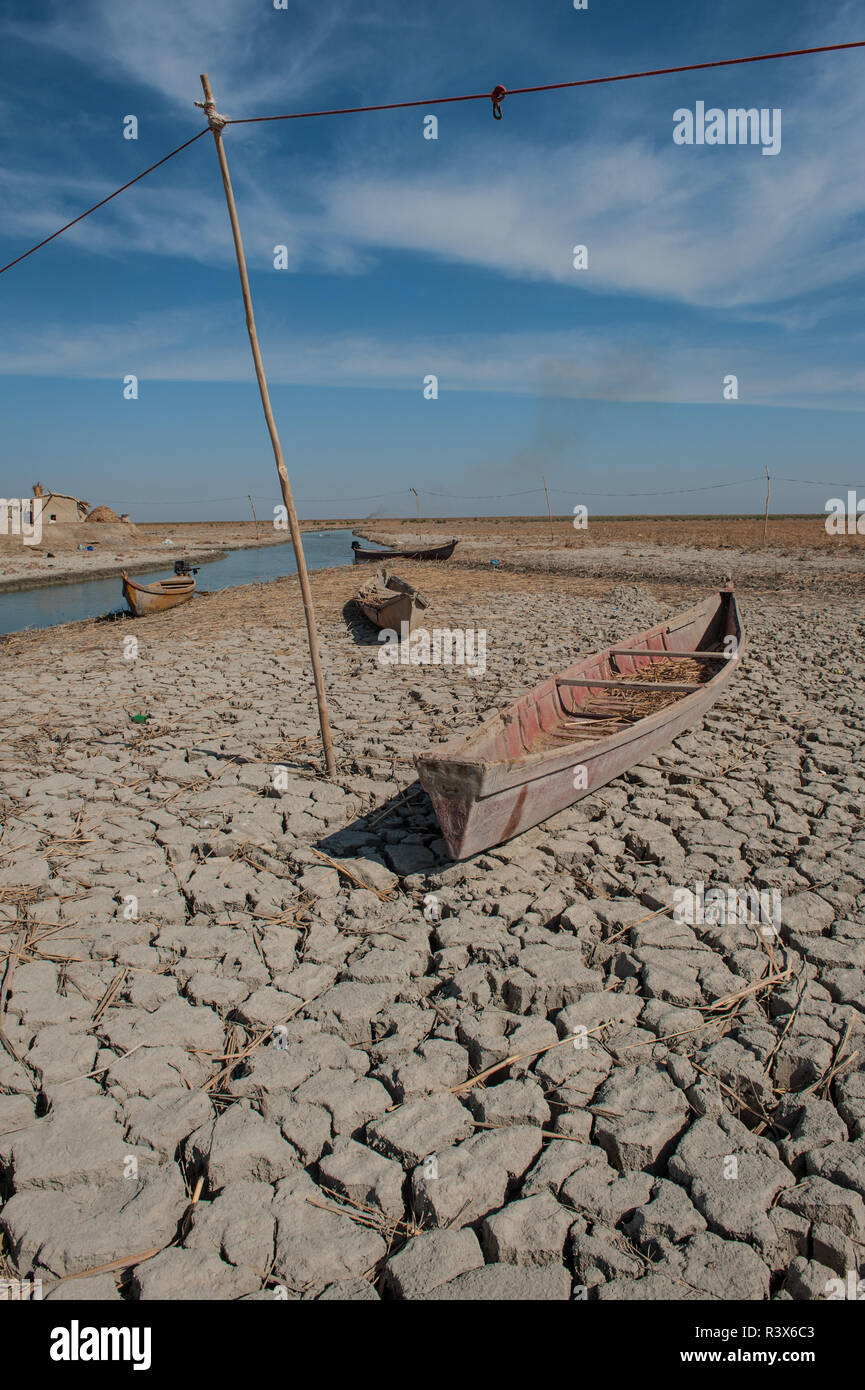 Drought in the Marshes of Southern Iraq Stock Photo - Alamy