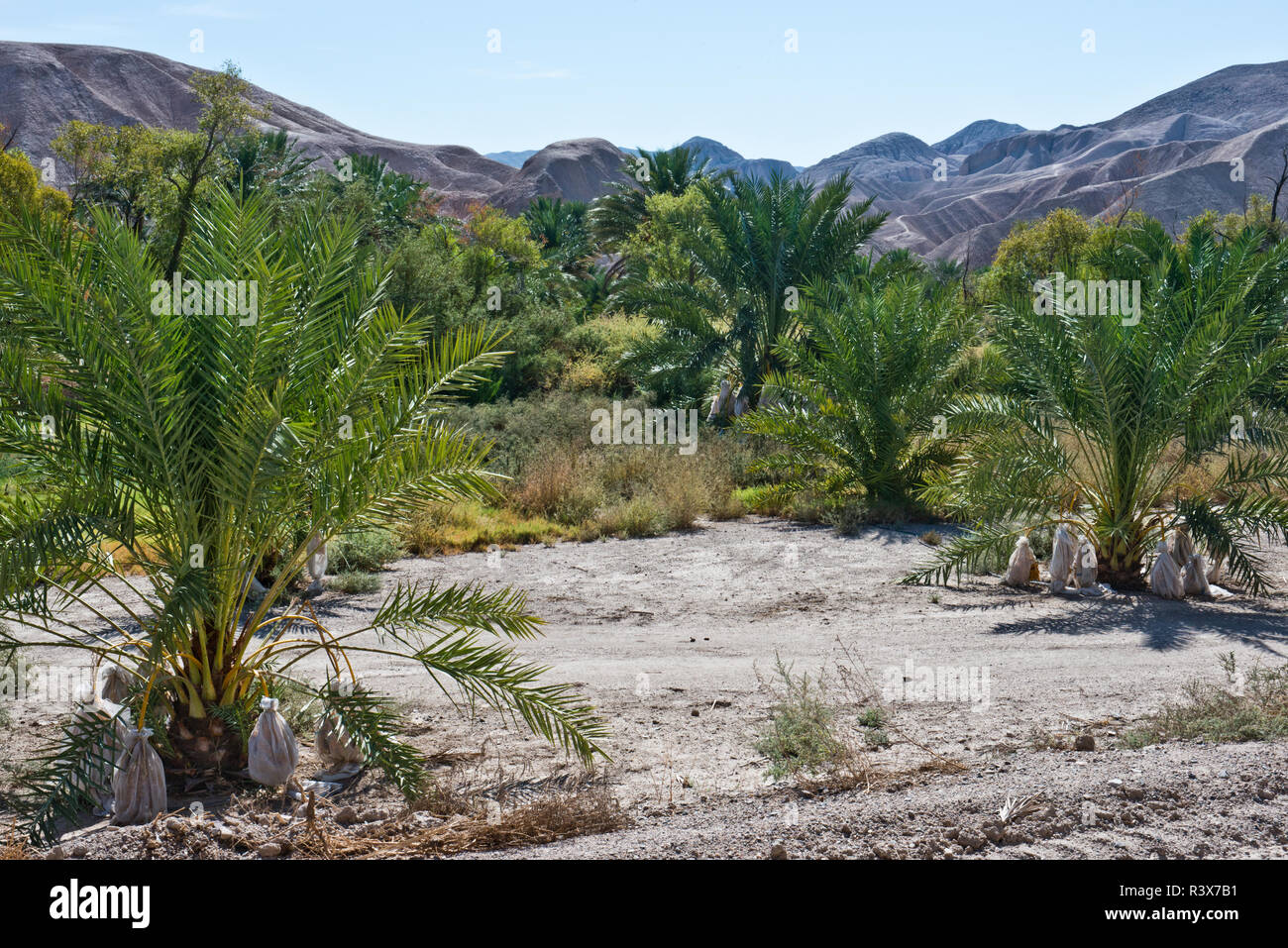 Tecopa california hi-res stock photography and images - Alamy