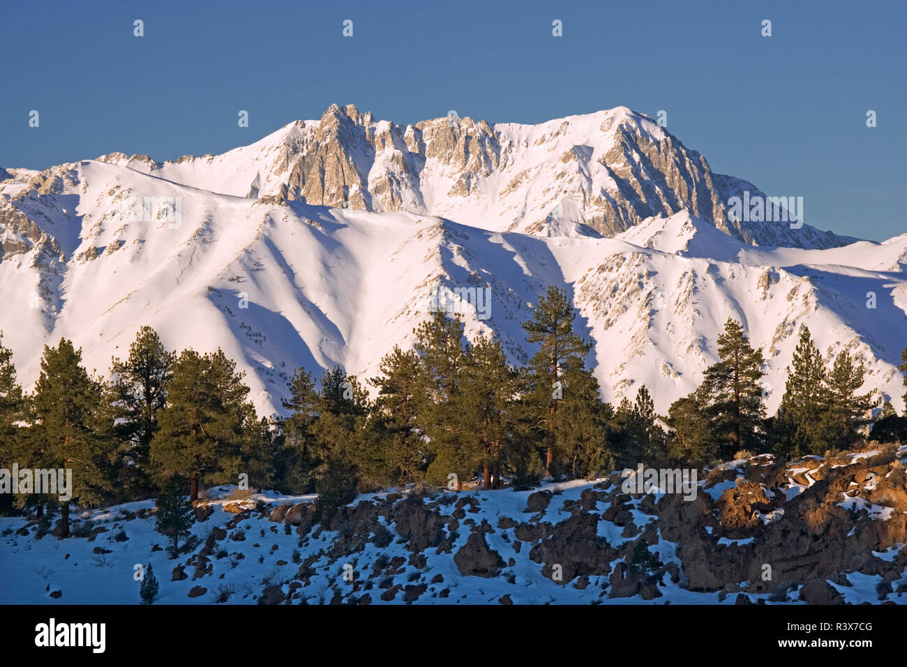 Morgan range hi-res stock photography and images - Alamy
