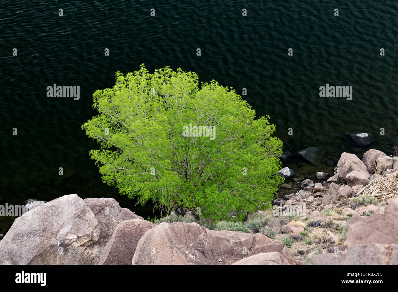 Pleasant valley reservoir hi-res stock photography and images - Alamy