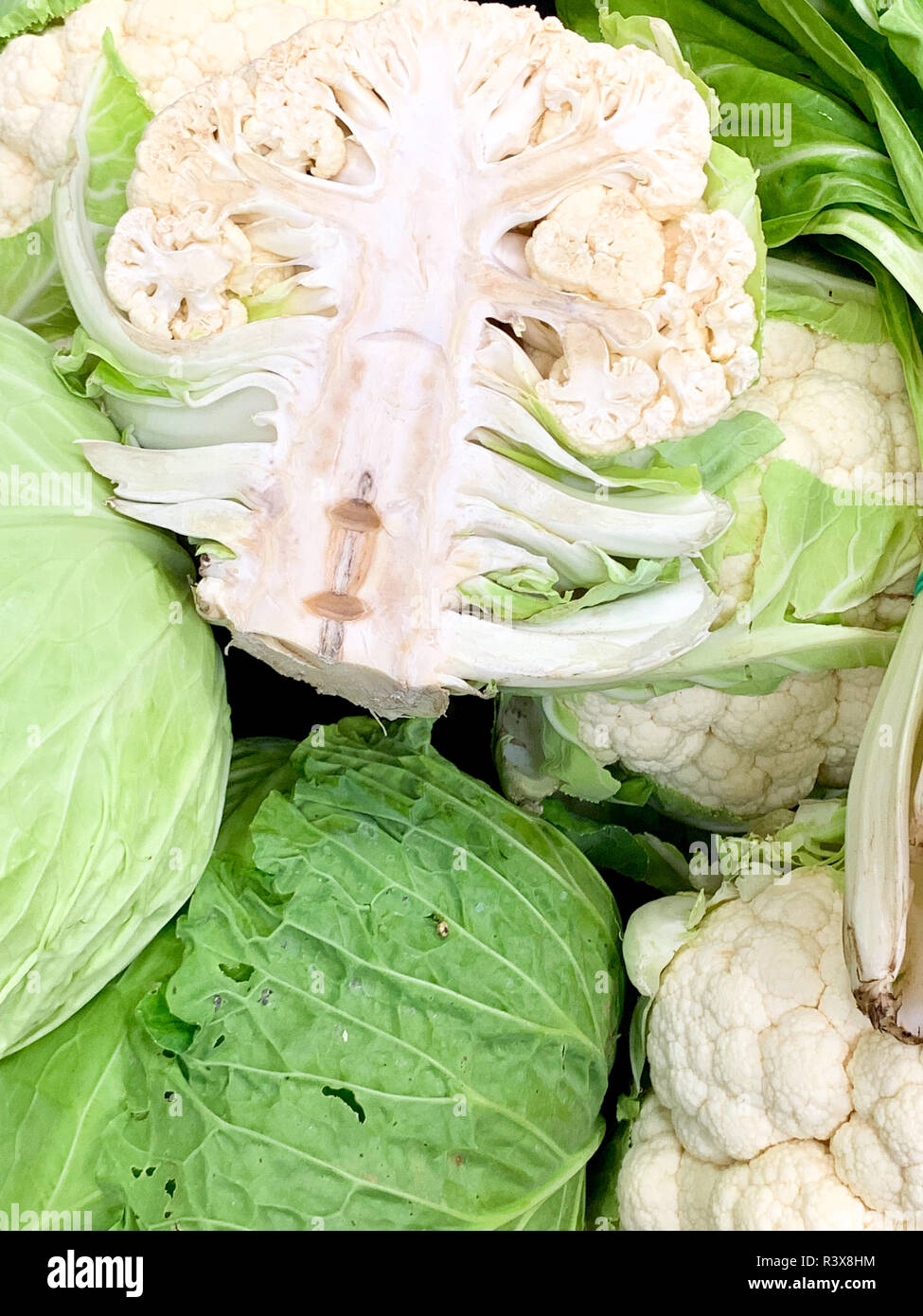 A close up of fresh cauliflowers cut in two and entire. The intense ...