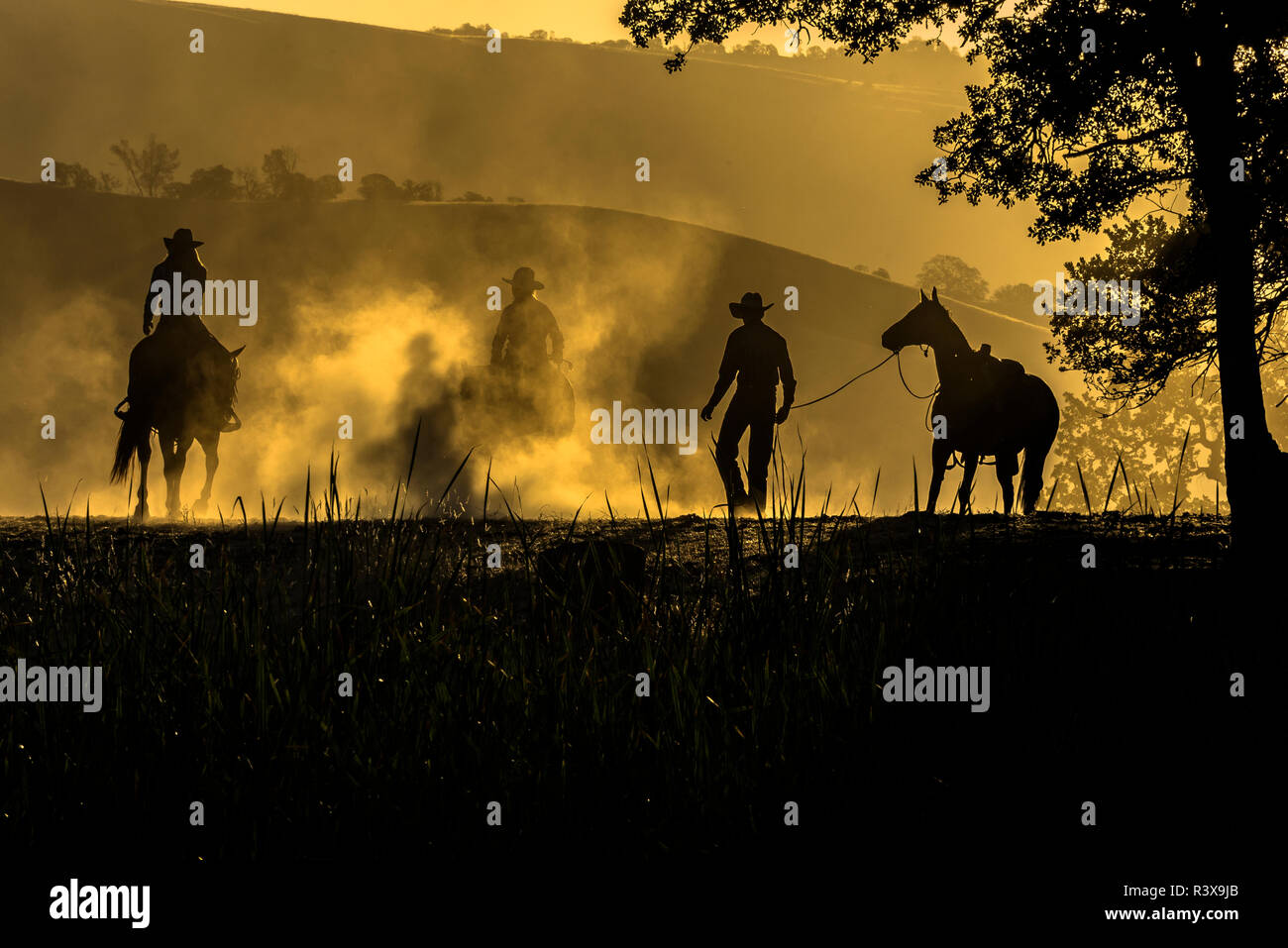 USA, California, Parkfield, V6 Ranch silhouette of riders, on horseback ...