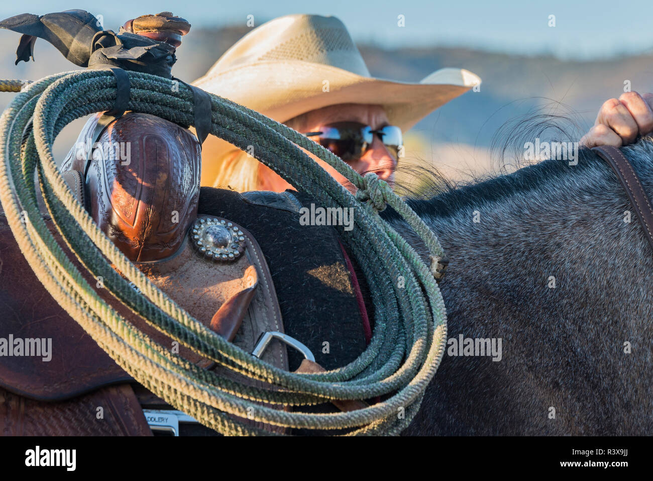 Cowgirl horse ranch lasso hi-res stock photography and images - Alamy