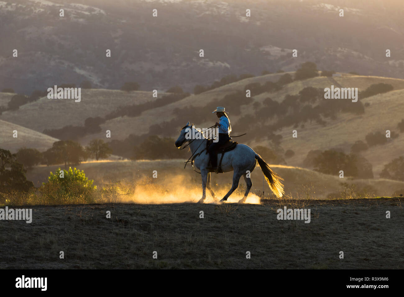 USA, California, Parkfield, V6 Ranch cowgirl on her horse kicking up ...
