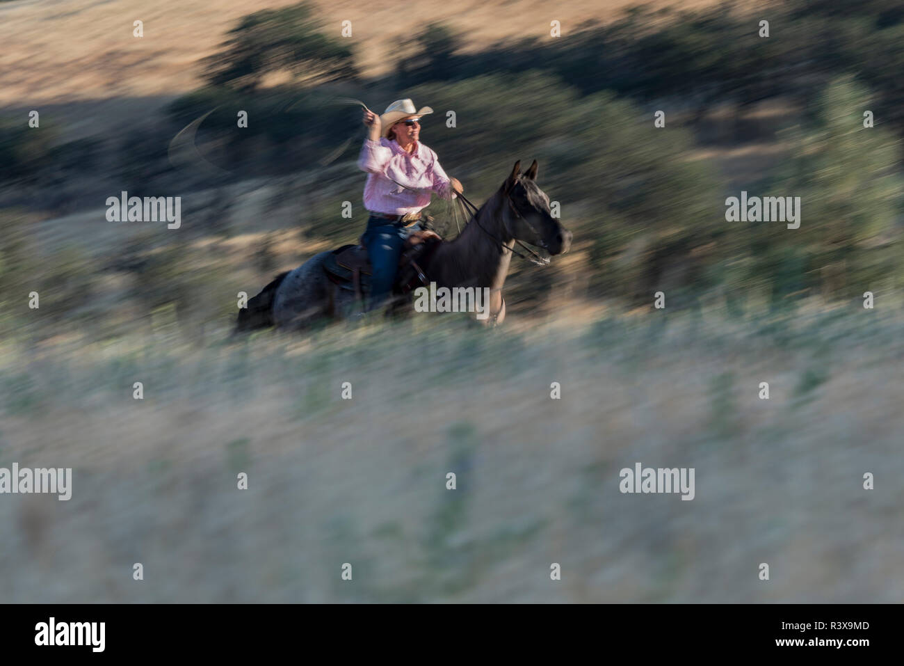 Cowgirl Roping High Resolution Stock Photography and Images - Alamy