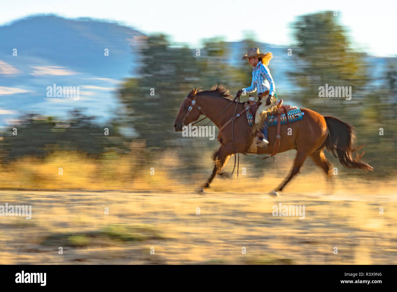 Cowgirl On Ranch Stock Photos & Cowgirl On Ranch Stock Images - Alamy