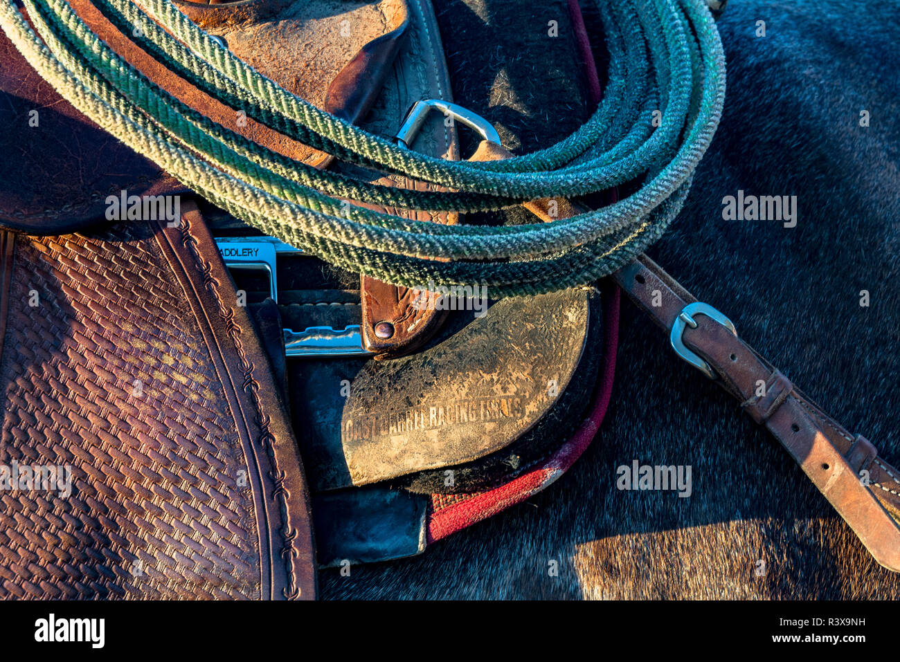 Lasso saddle hi-res stock photography and images - Alamy