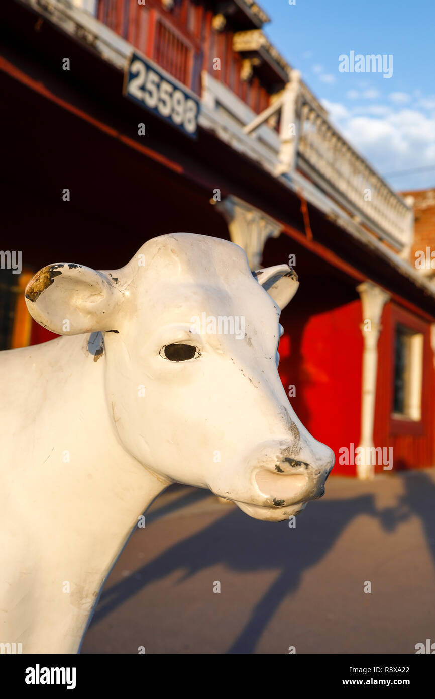 Cow statue at feed store in Redlands, California Stock Photo - Alamy