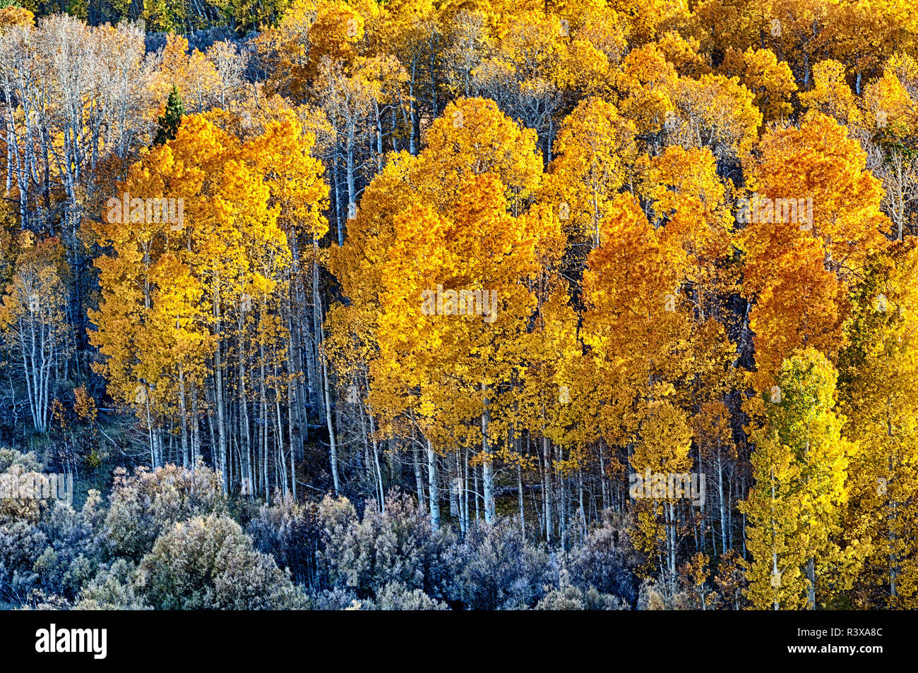 Conway pass hi-res stock photography and images - Alamy