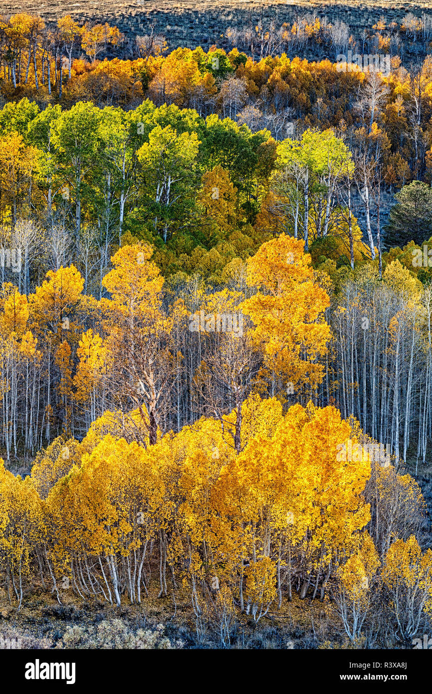 Conway pass hi-res stock photography and images - Alamy