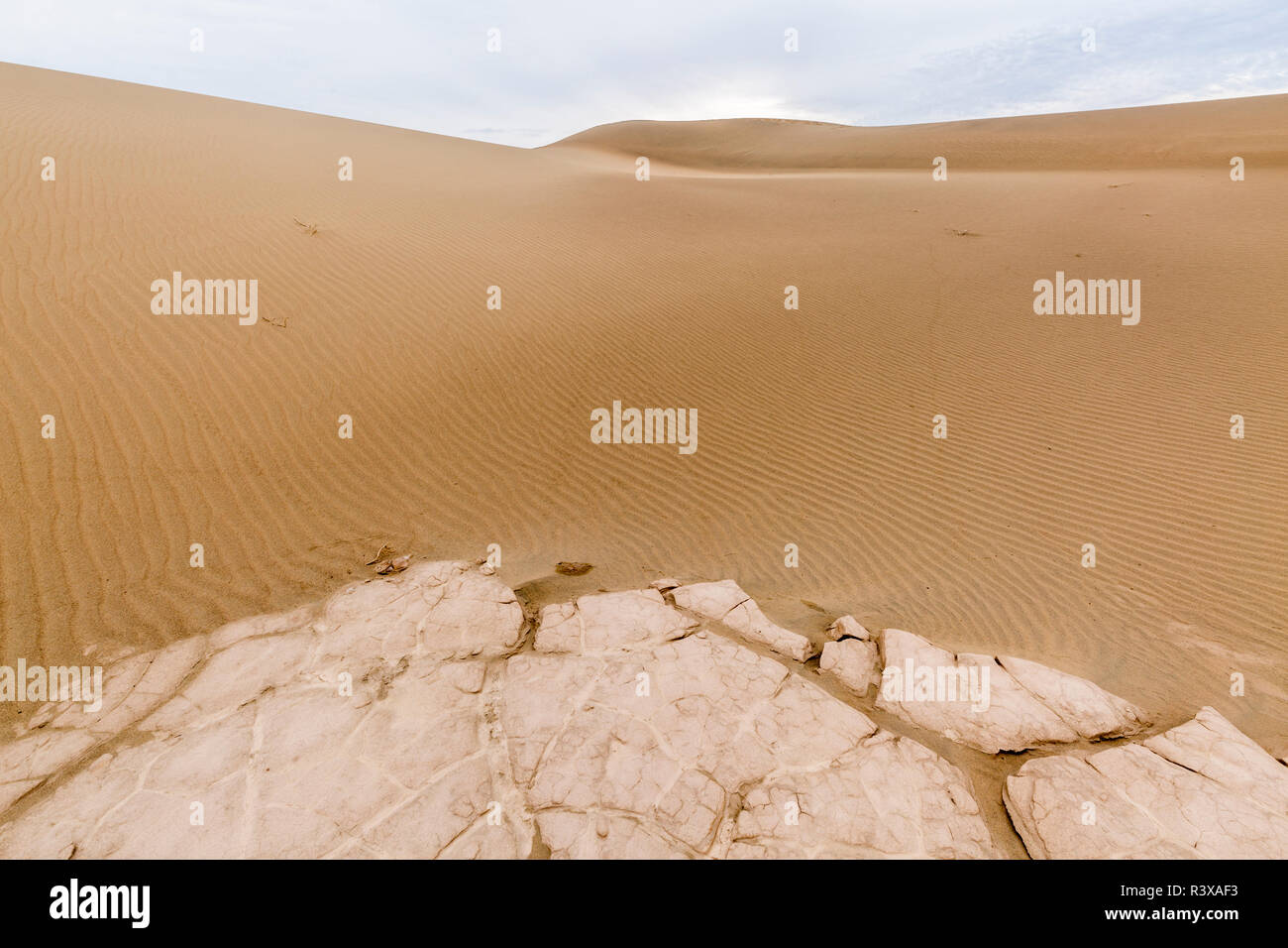 Hardpan mud tiles hi-res stock photography and images - Alamy