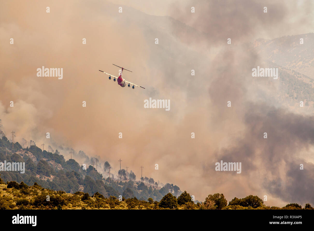 Department of forestry and fire protection hi-res stock photography and ...