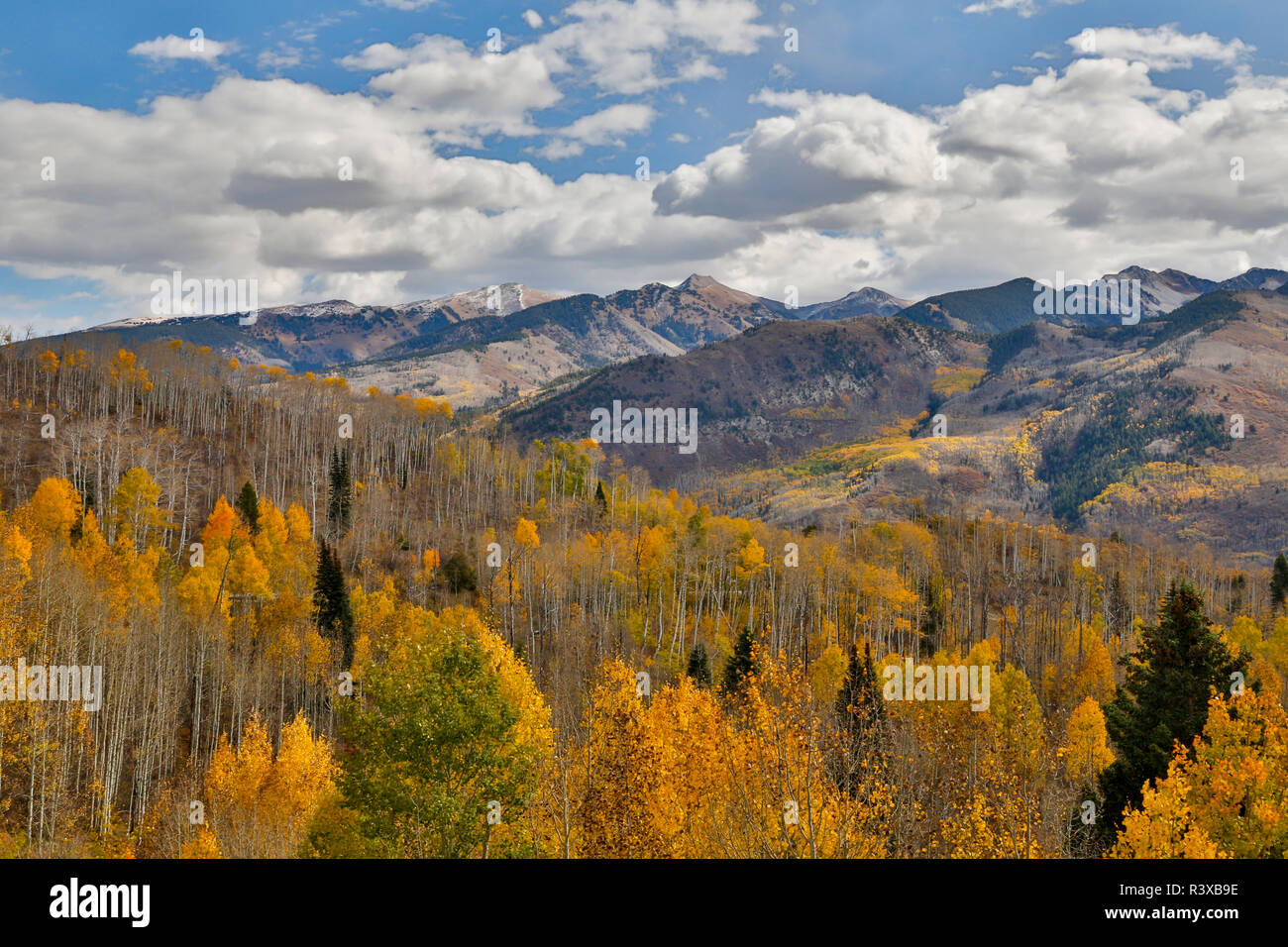 Rocky Mountains, Colorado. Fall Colors of Aspens and Oaks Keebler Pass ...