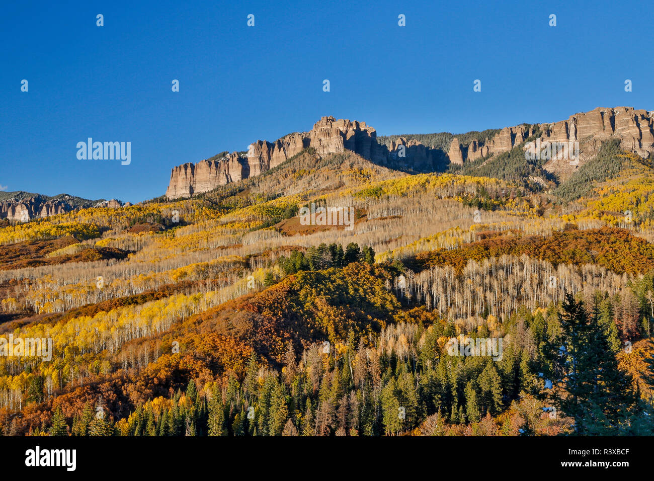 Rio grande national forest hi-res stock photography and images - Alamy