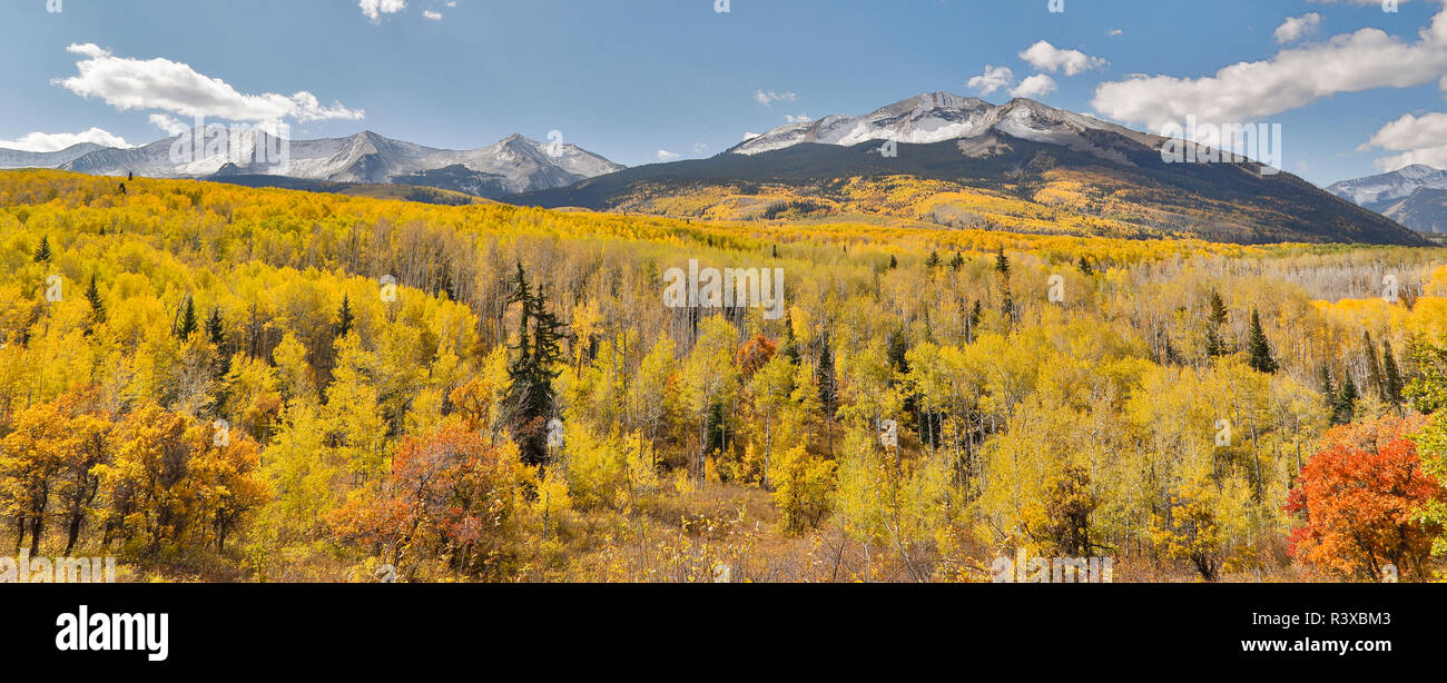 Fall colors near Kebler Pass, Crested Butte Stock Photo - Alamy