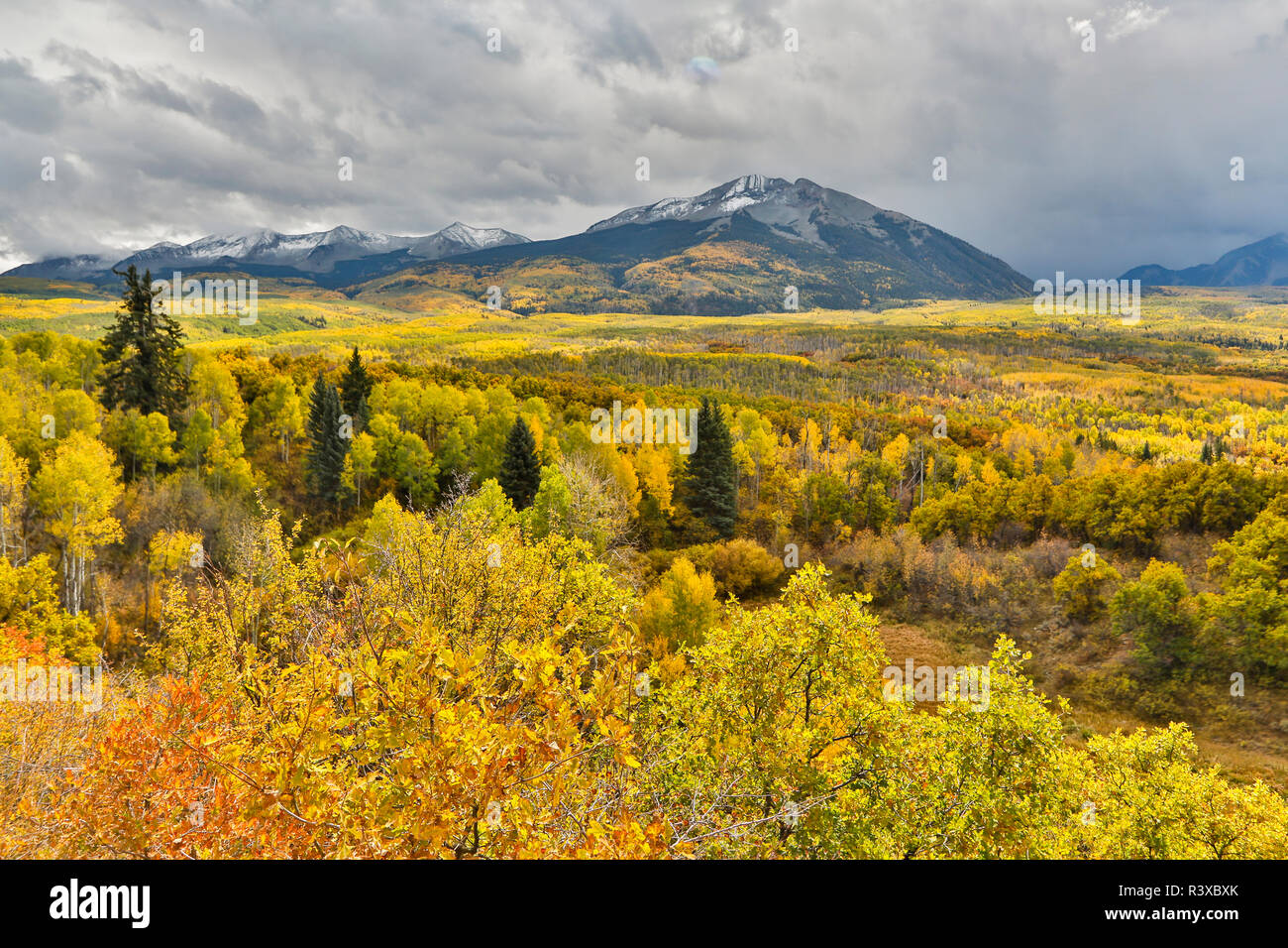 Fall colors near Kebler Pass, Crested Butte Stock Photo - Alamy