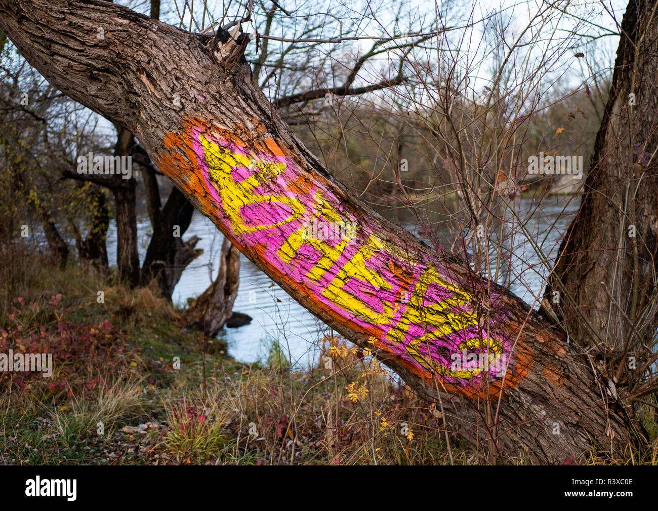 Graffiti palm trees hi-res stock photography and images - Alamy