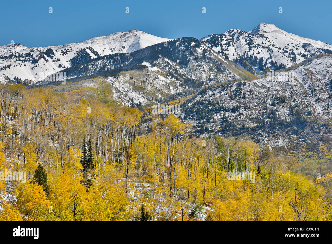 Mcclure pass aspen hi-res stock photography and images - Alamy