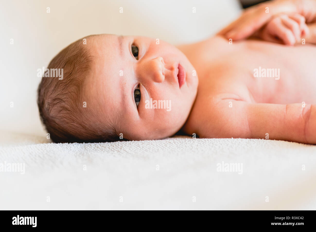 Face portrait of a newborn baby, calm and relaxed Stock Photo - Alamy