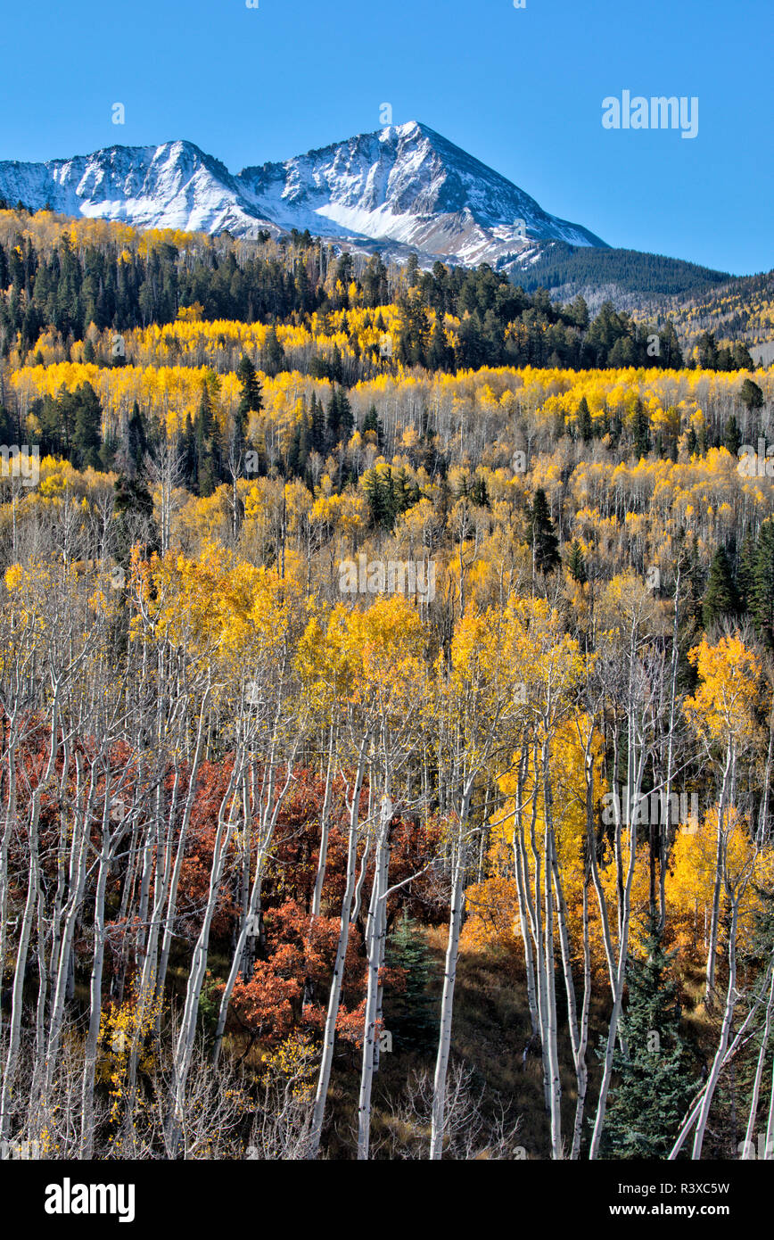Wilson mesa telluride hi-res stock photography and images - Alamy