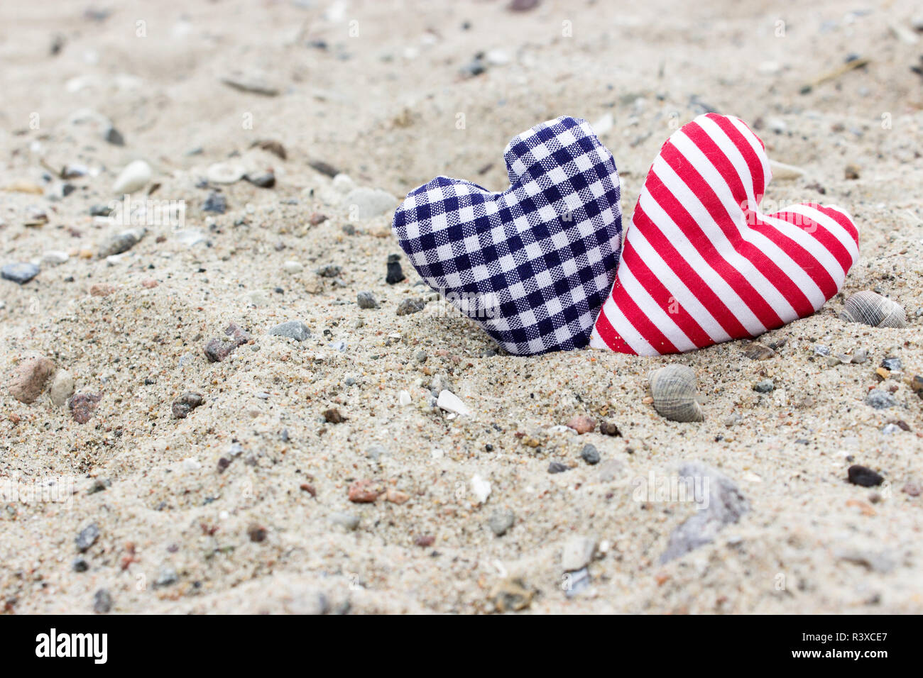 Striped mussels hi-res stock photography and images - Alamy