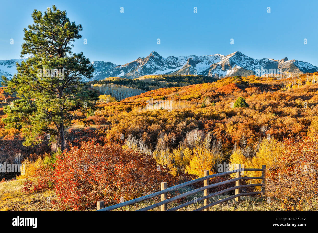 USA, Colorado, Ridgway. San Juan Mountains, Dallas Divide in Autumn ...