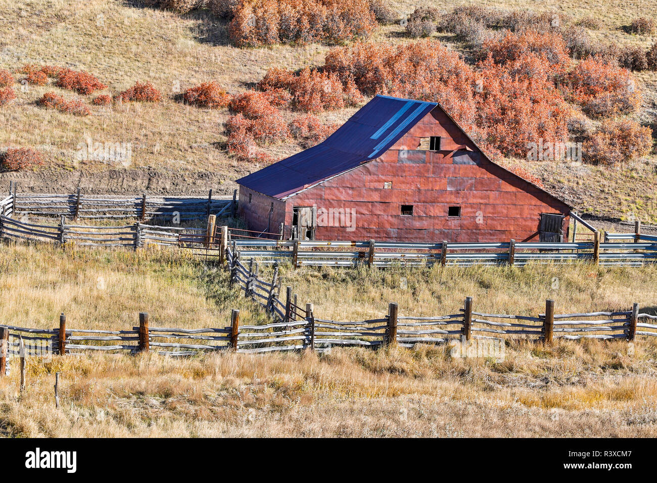 Fall color in ridgway hi-res stock photography and images - Alamy