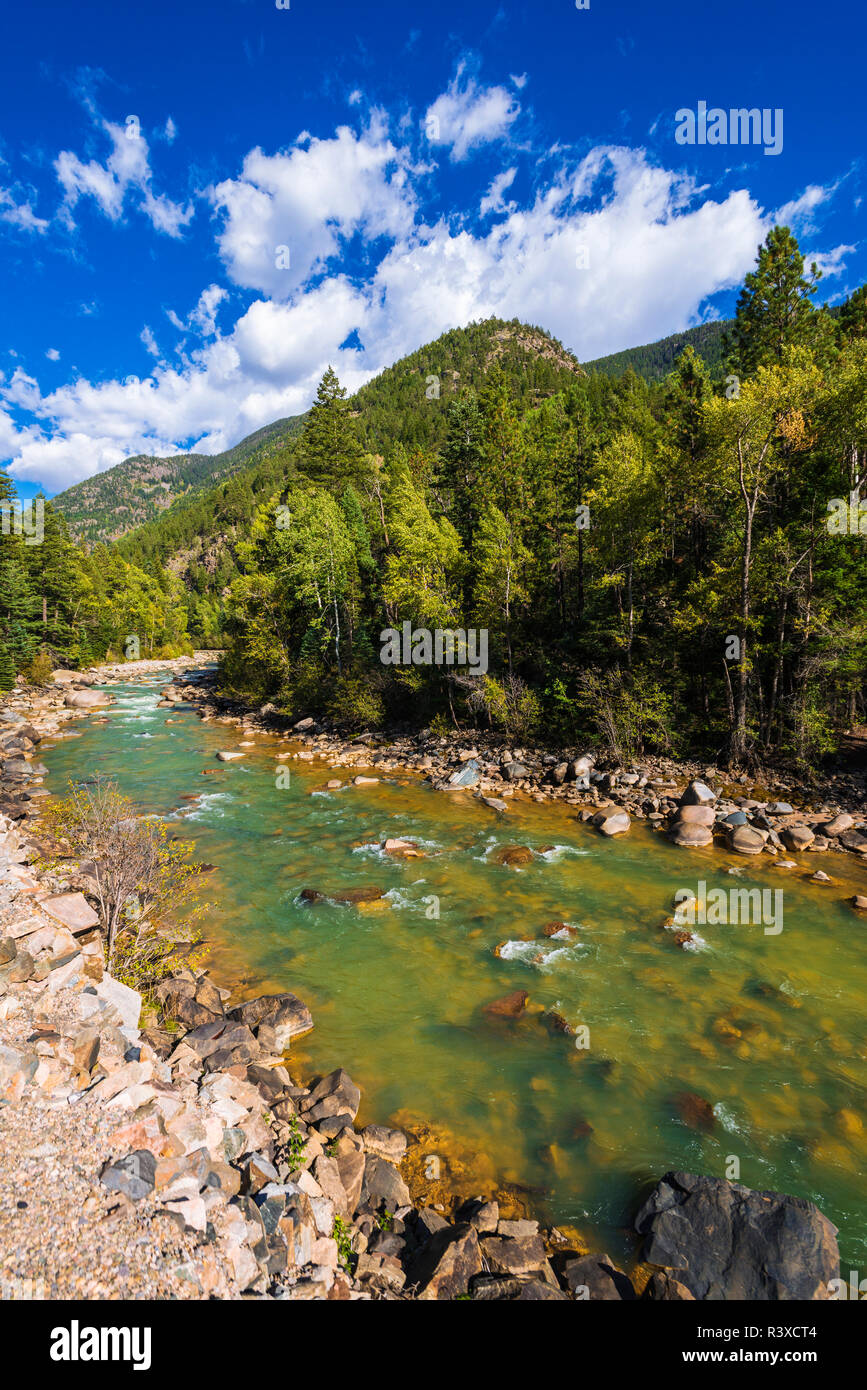 The Animas River, San Juan National Forest, Colorado, USA Stock Photo ...