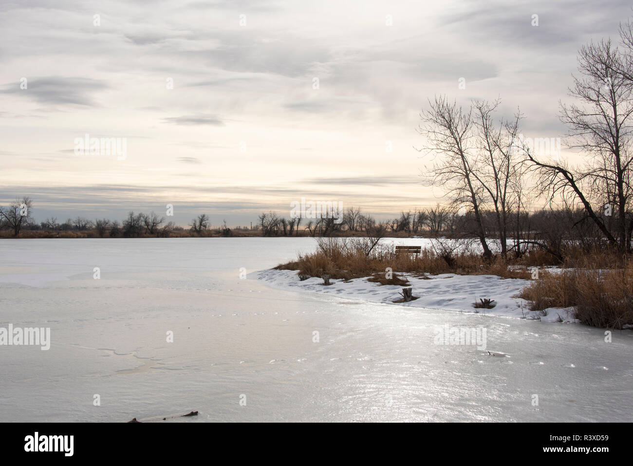 USA, Colorado, Fort Collins Riverbend Ponds natural area. Solidly ...