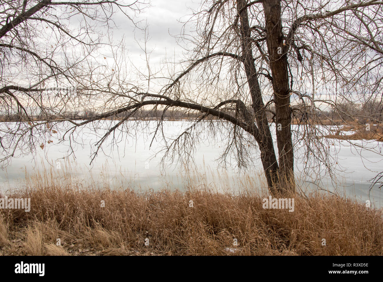 Riverbend natural area hi-res stock photography and images - Alamy