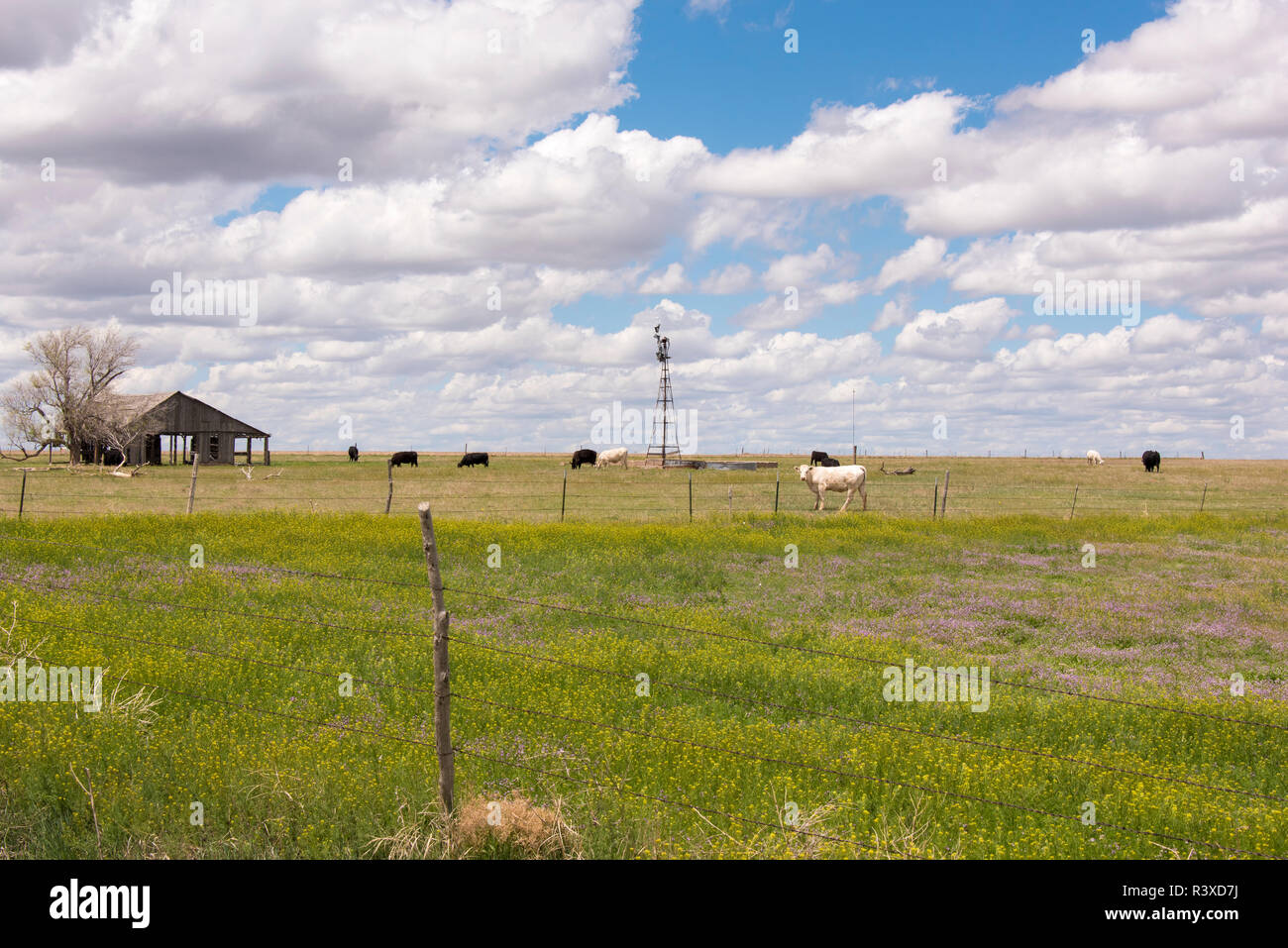 Flagler colorado hi-res stock photography and images - Alamy
