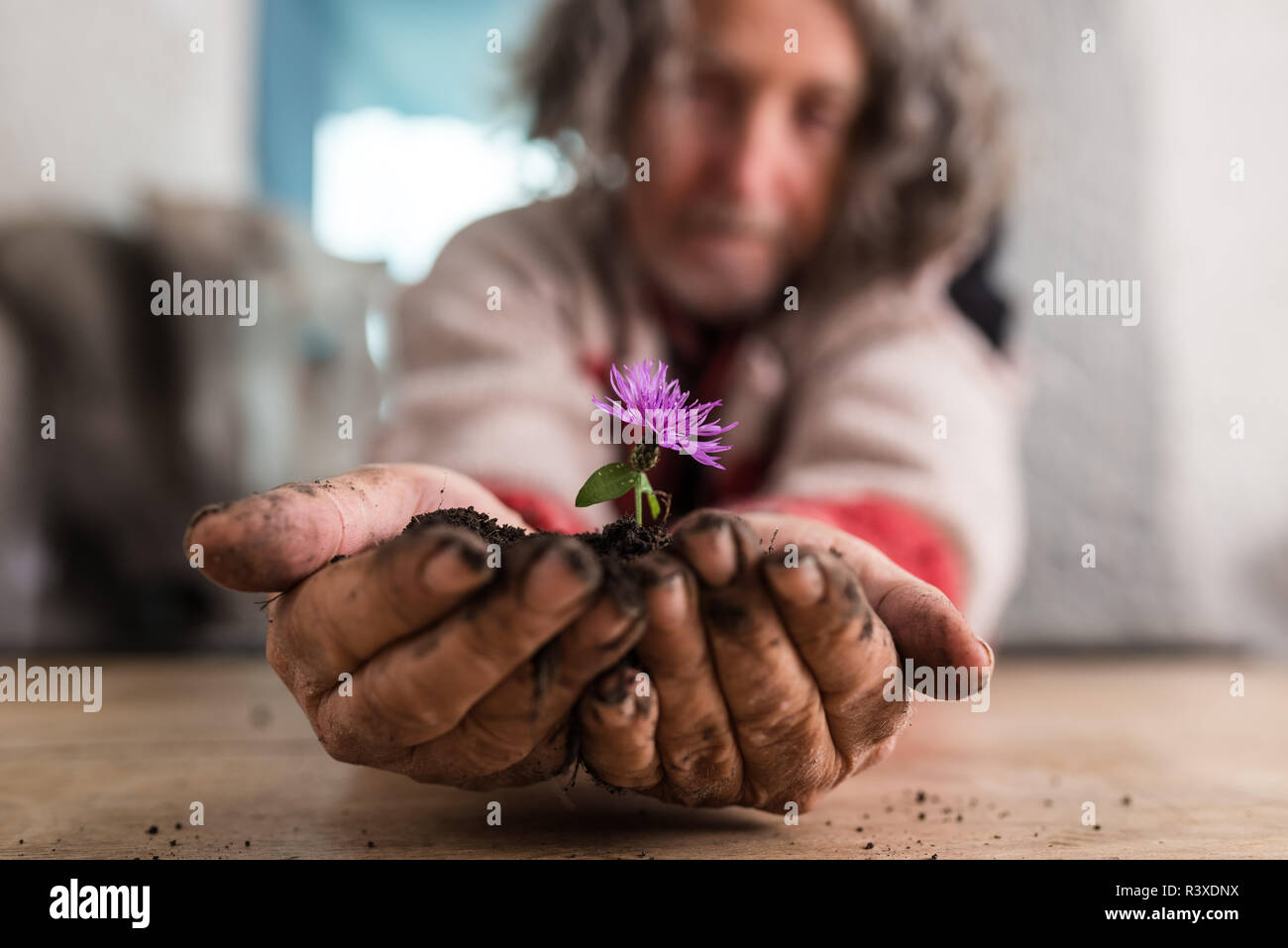Dirt mound flower hi-res stock photography and images - Alamy