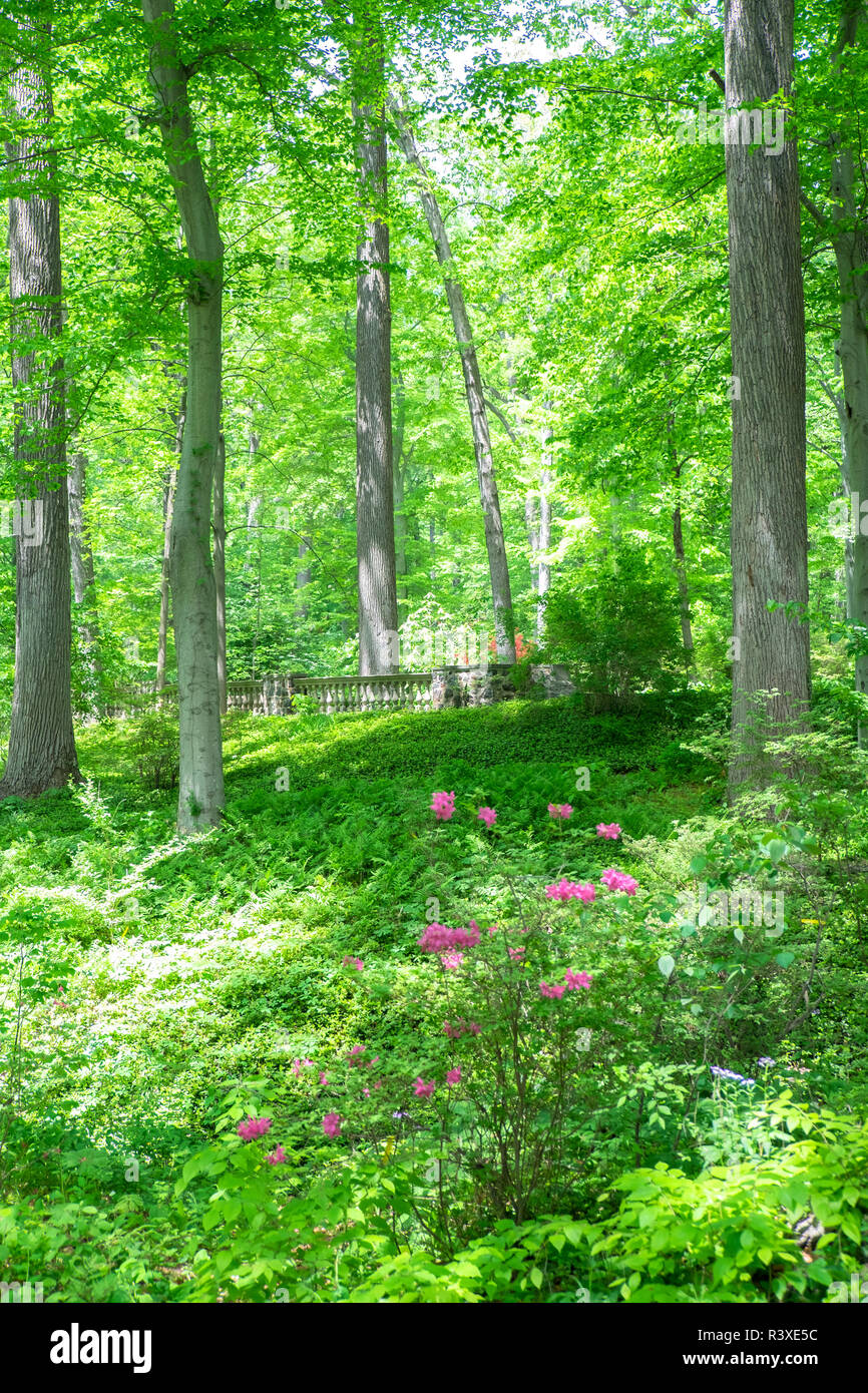 Winterthur garden hi-res stock photography and images - Alamy