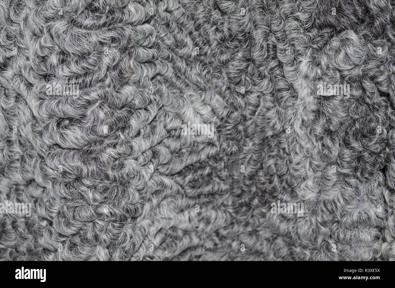 animal fur structure Stock Photo - Alamy
