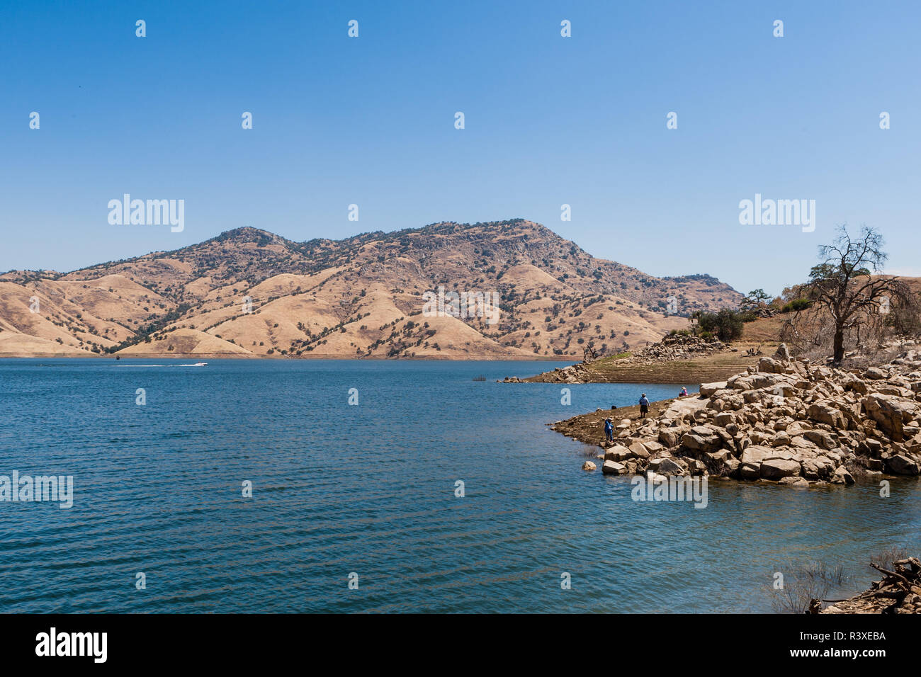 Tulare lake hi-res stock photography and images - Alamy