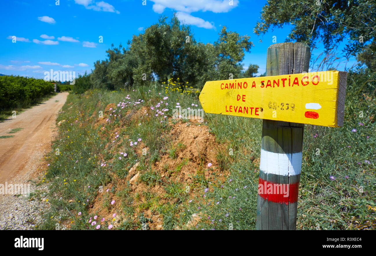 Camino de santiago Levante sign Saint James Way Stock Photo - Alamy