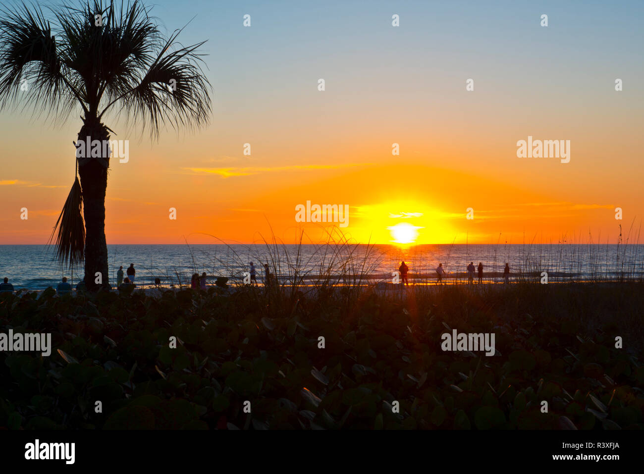 Siesta key beach sunset silhouette hi-res stock photography and images ...