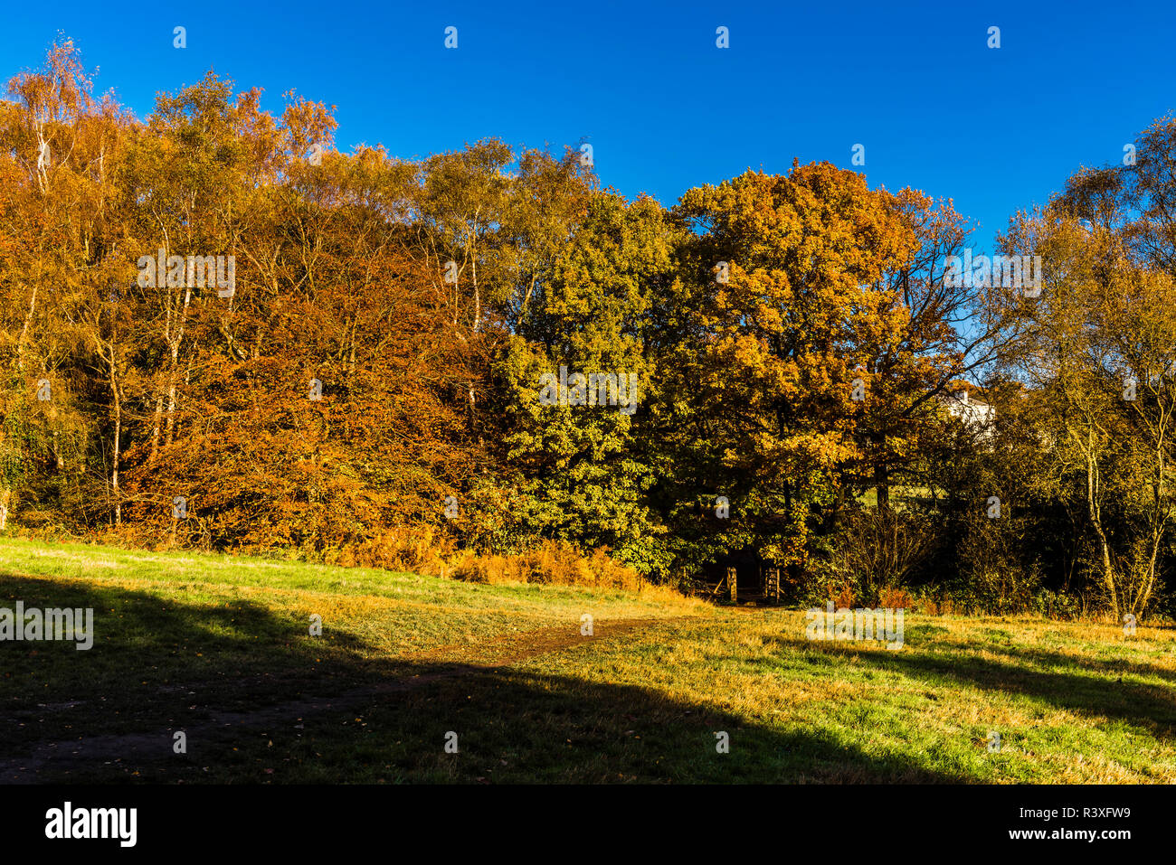 Path and gate on an autumnal Hampstead Heath, London, UK Stock Photo ...