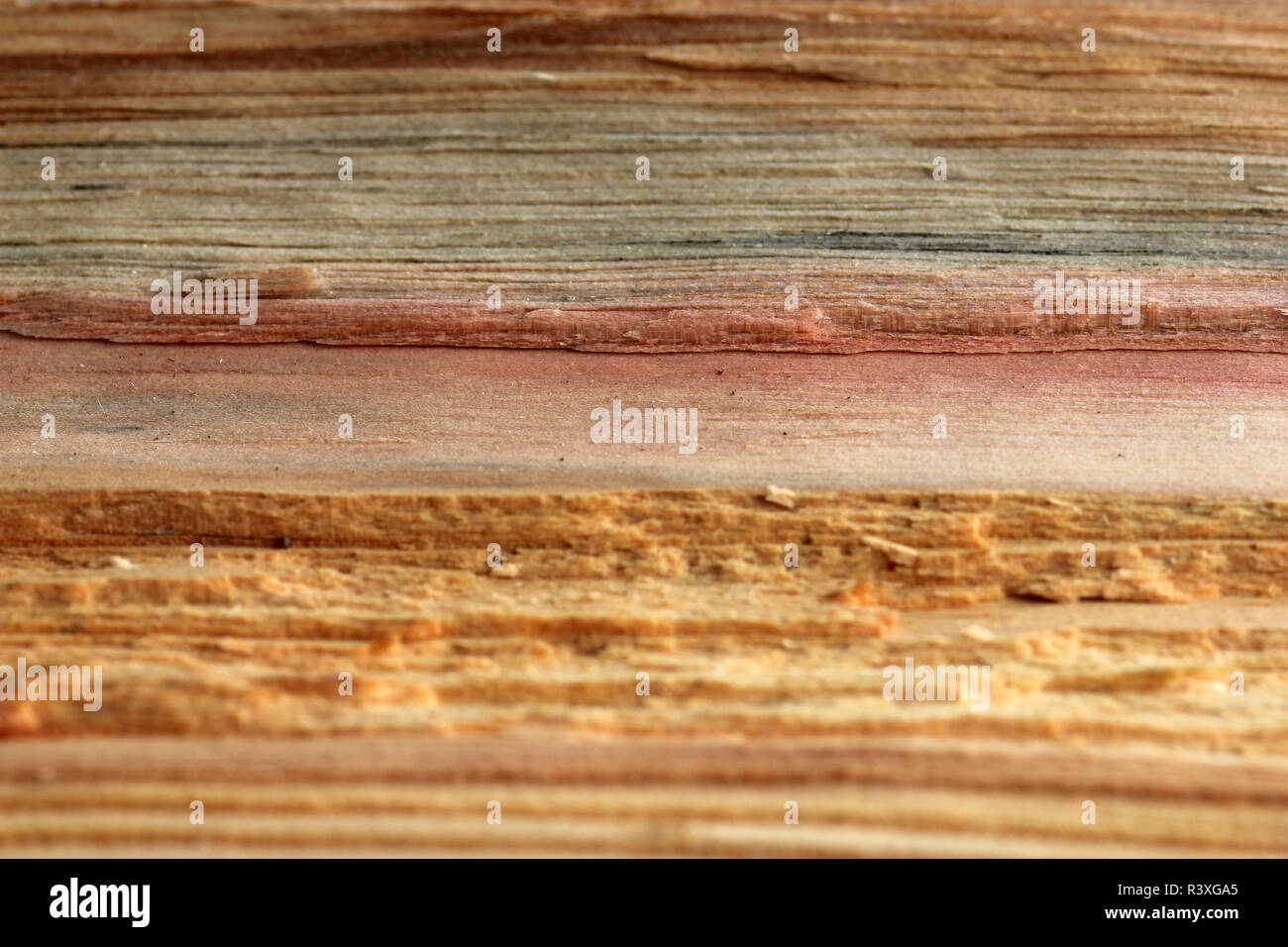Pine wood grain texture hi-res stock photography and images - Alamy