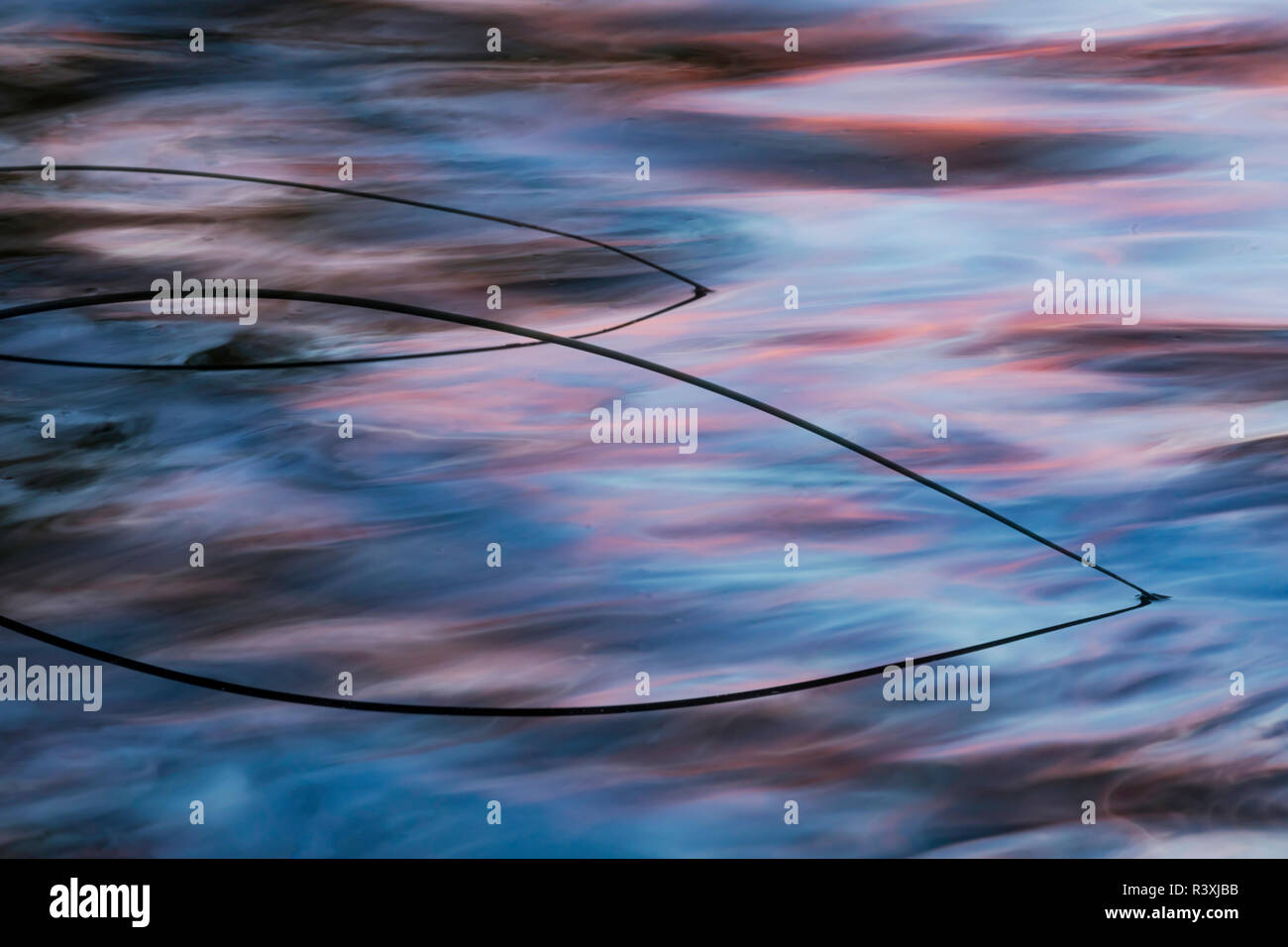 Abstract water and reed reflection, Upper Peninsula of Michigan Stock ...