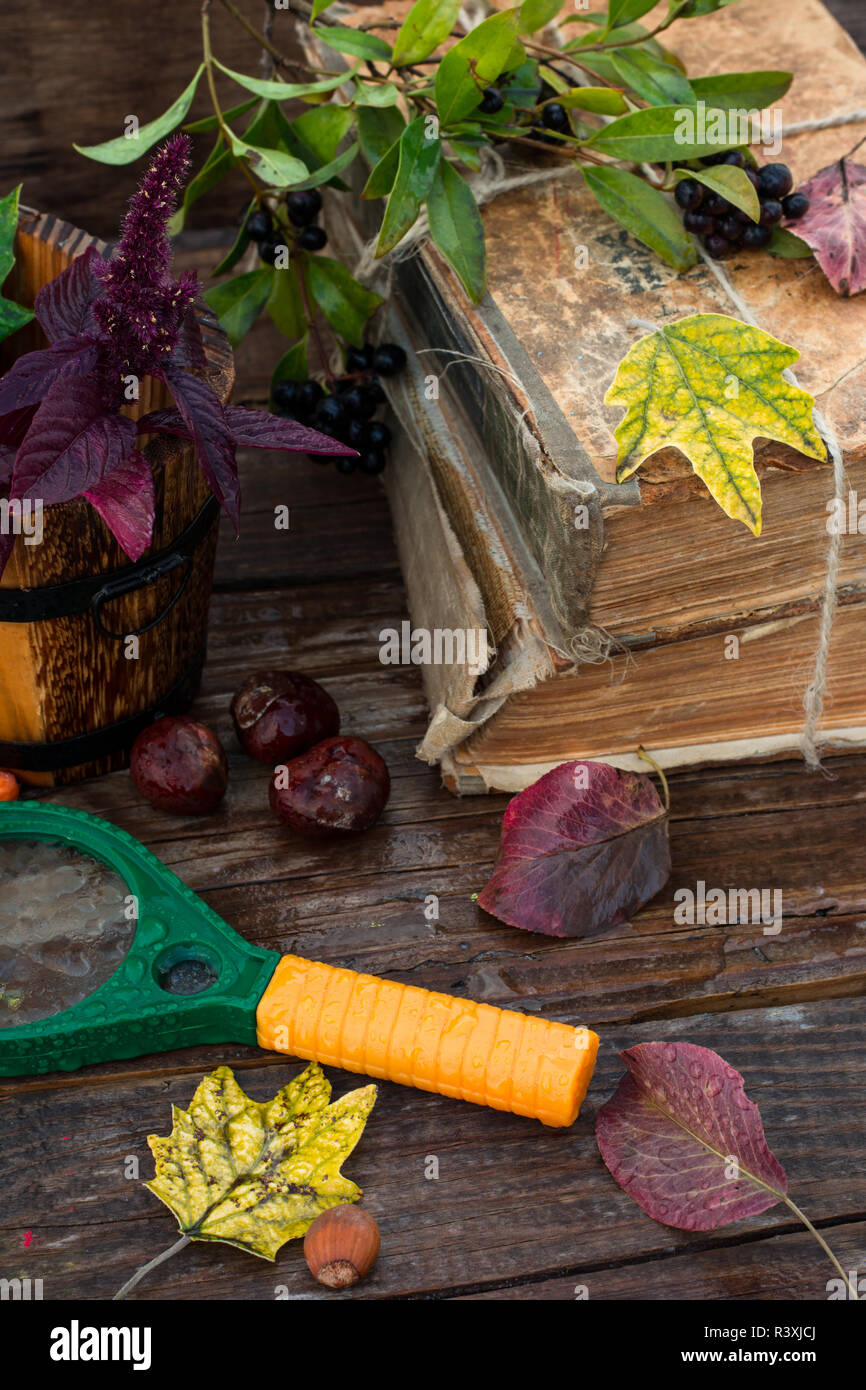 Old peasant reading hi-res stock photography and images - Alamy