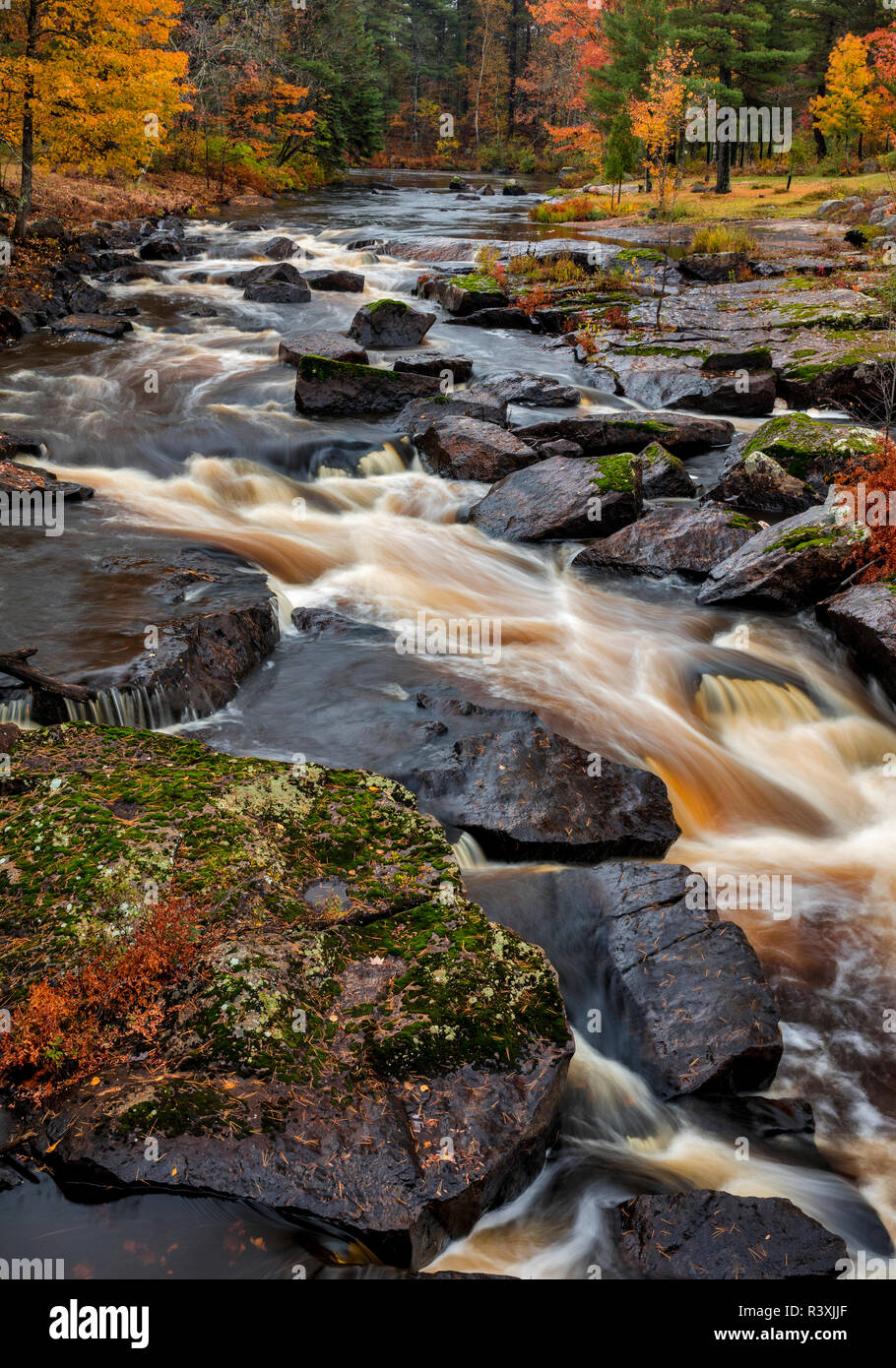 Middle branch hi-res stock photography and images - Alamy