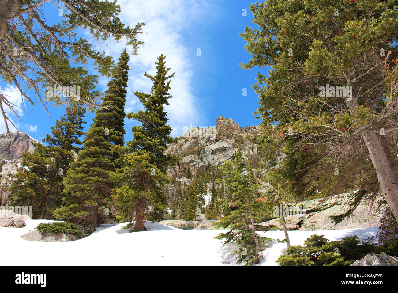A snowy path through a pine tree covered mountainside on the Bear Lake ...