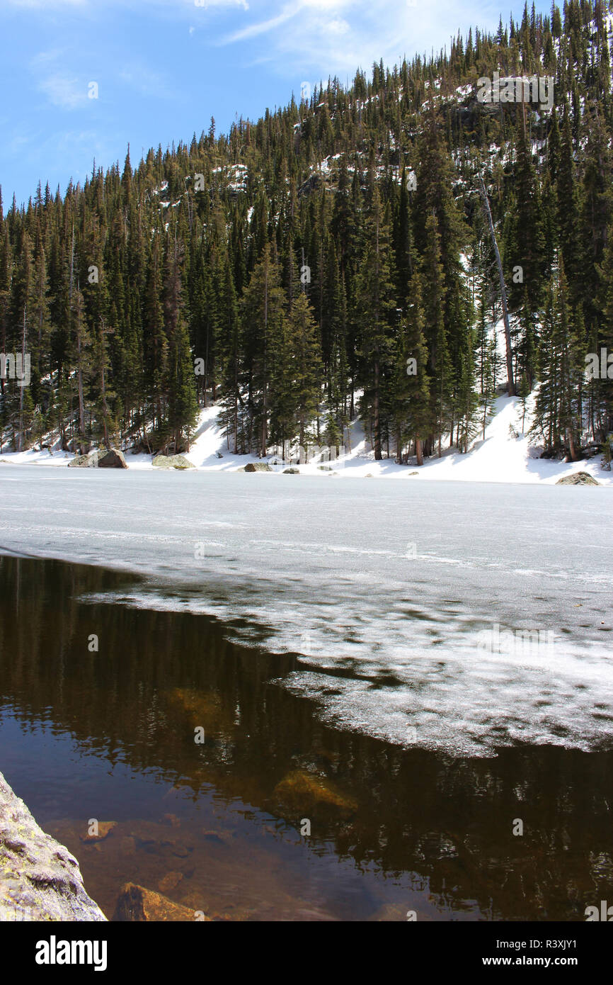 A view across Emerald Lake including a pine forest covering the snowy ...