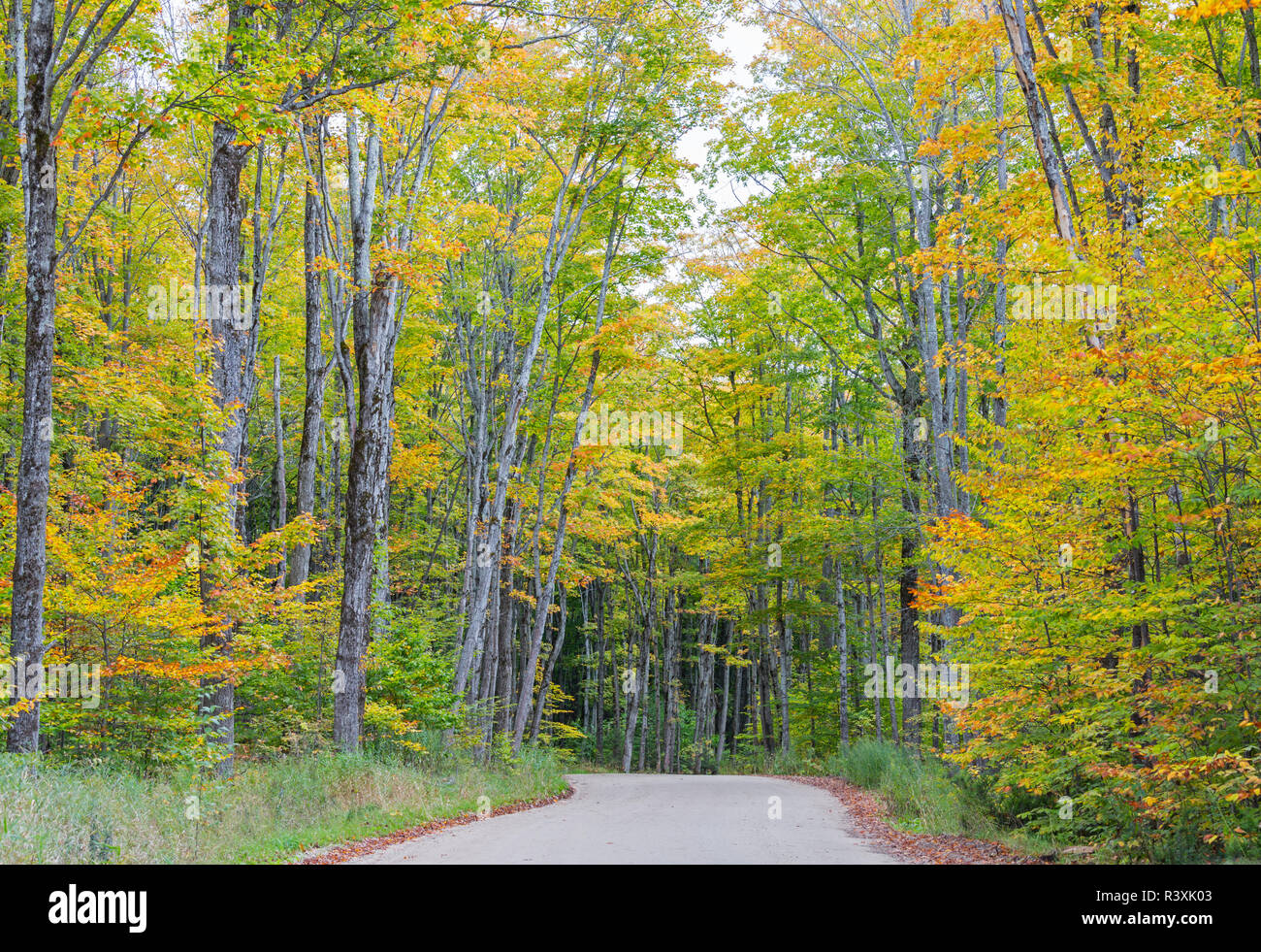 Michigan, Pictured Rocks National Lakeshore, road to Miners Falls with ...