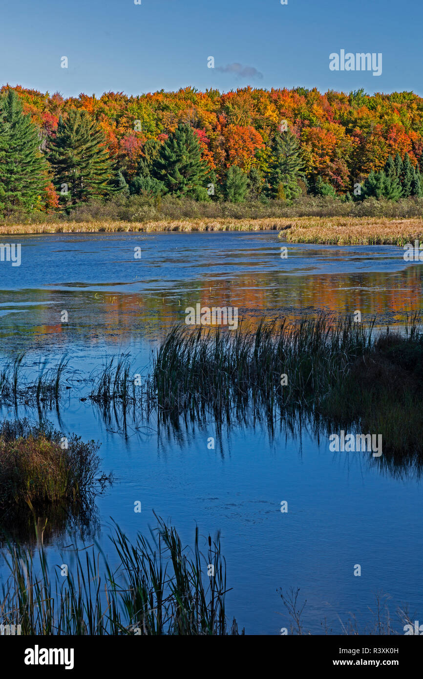 Michigan, Hiawatha National Forest, Doe Lake Stock Photo - Alamy