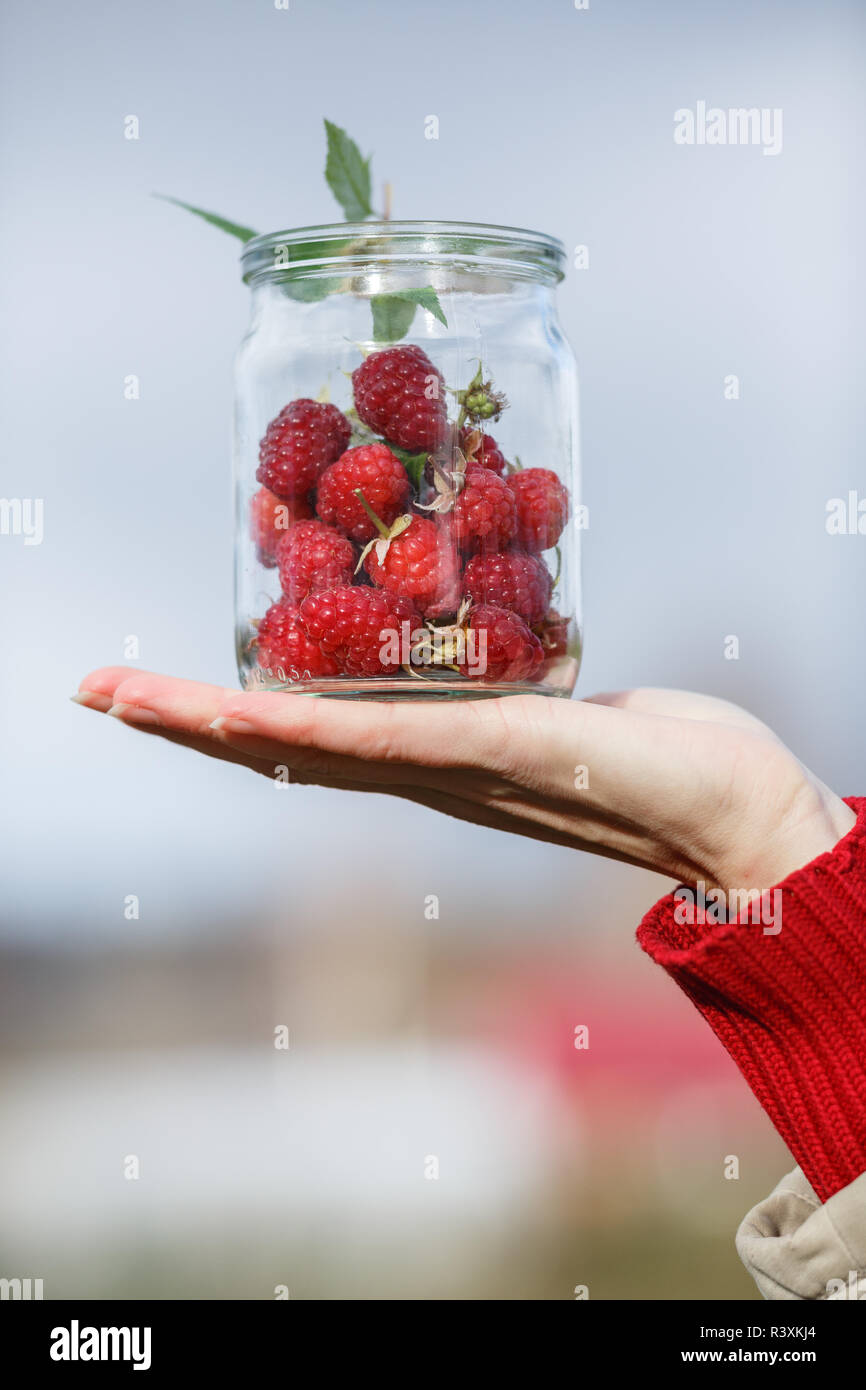Jar of raspberries Stock Photo - Alamy