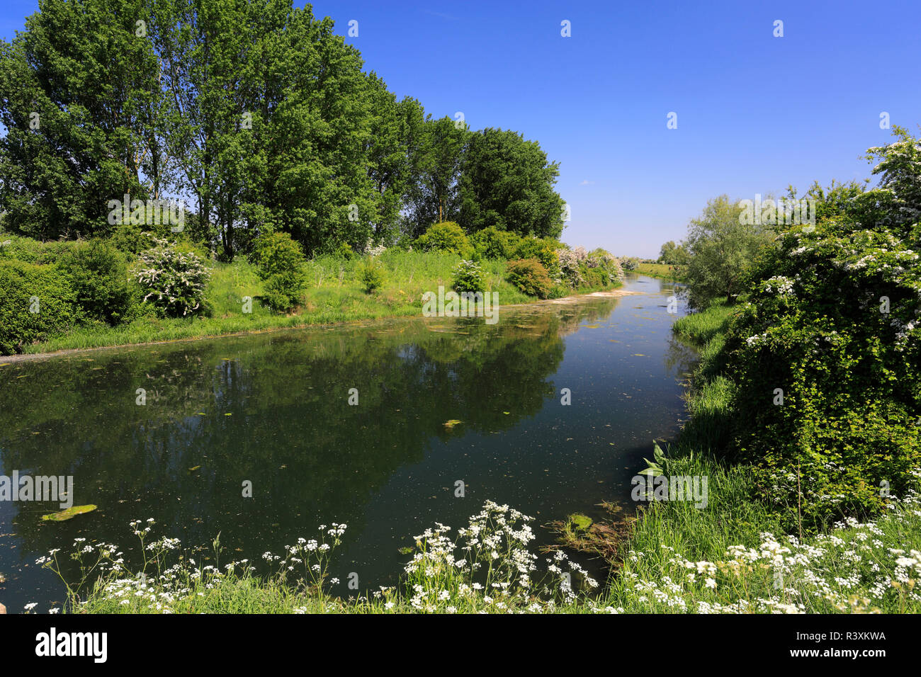 The river Welland, Folly Drain; Peakirk village; Cambridgeshire ...