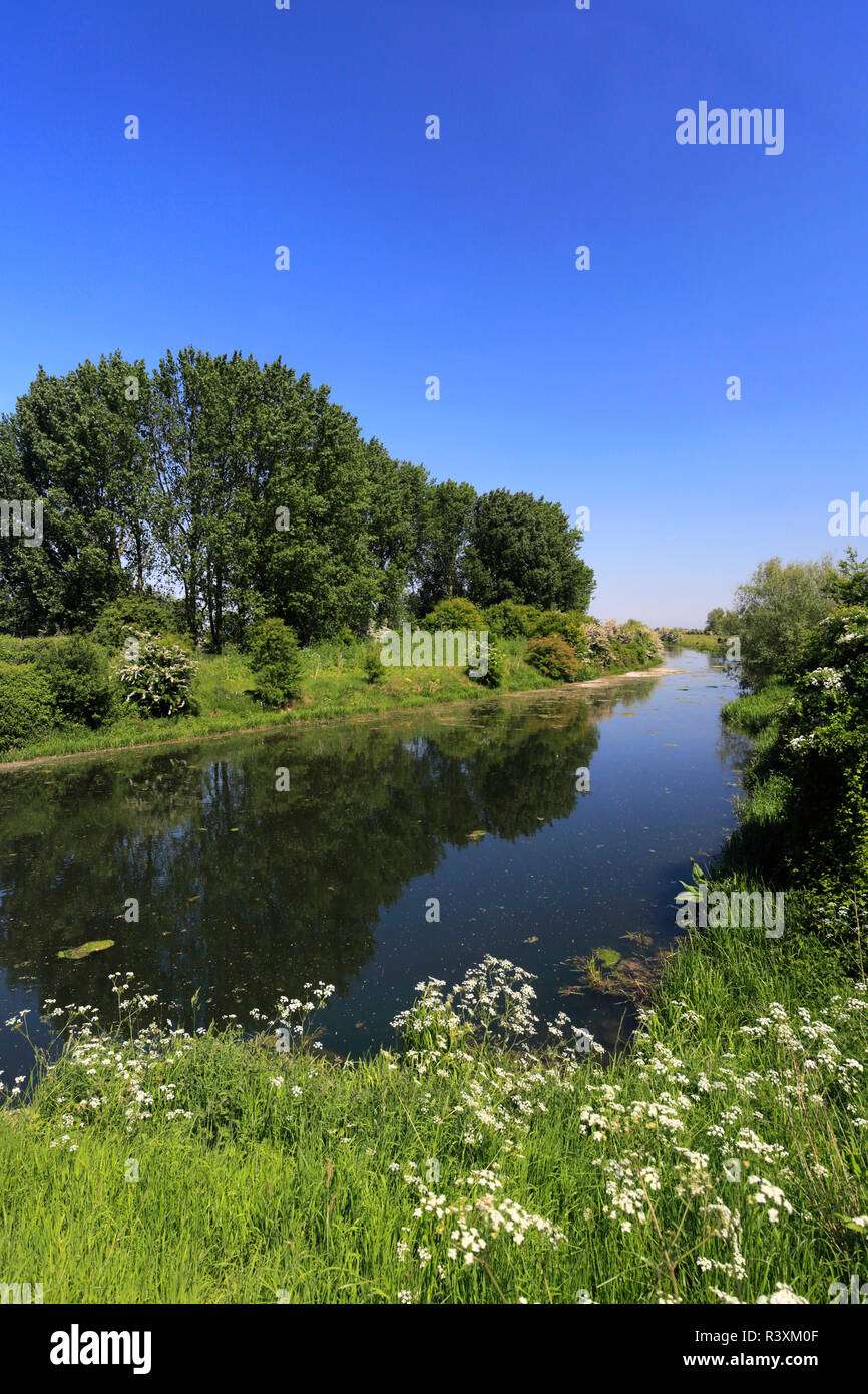 The river Welland, Folly Drain; Peakirk village; Cambridgeshire ...